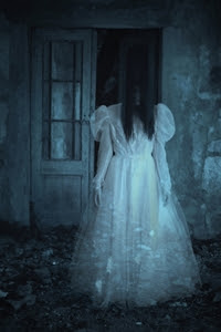 The weirdest things insurance can cover | CoverHound